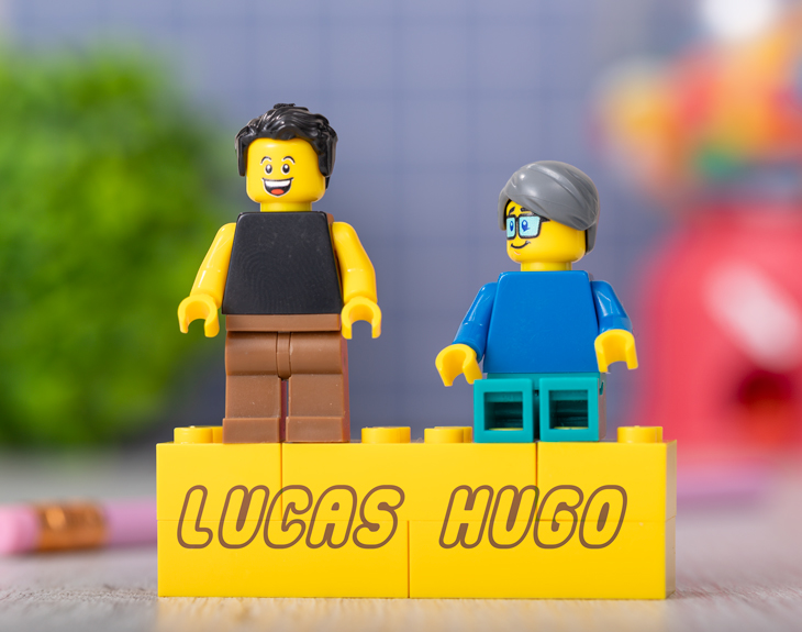 Minifigura de Lego con pedestal - Regalo Original