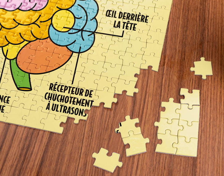 Puzzle "Le cerveau de la maîtresse" - Made In Gift